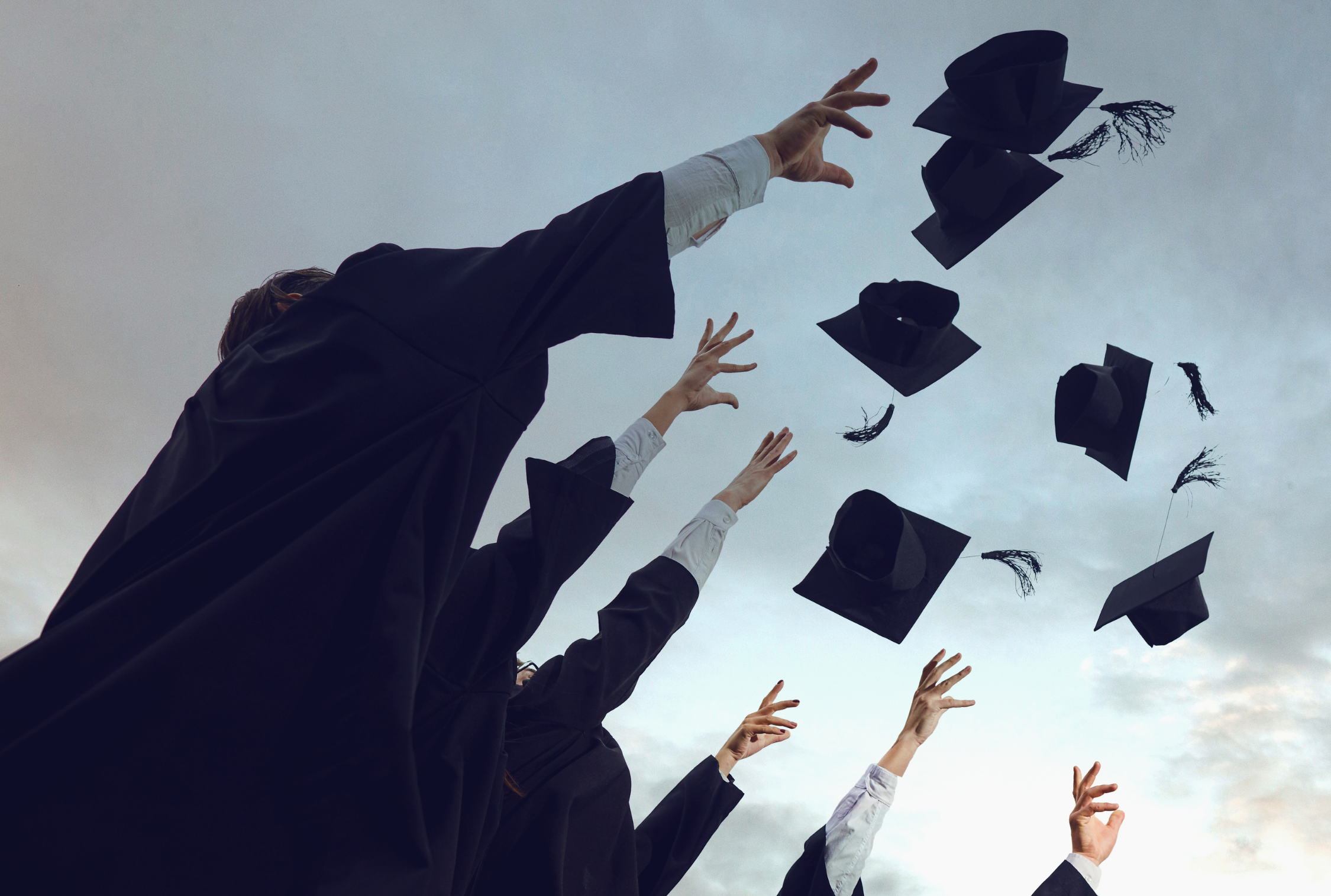 A Degree Is Not a Destiny: Everything I Wish Someone Had Told Me at ...